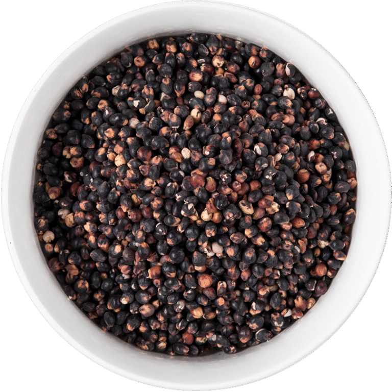 Black Whole Grain Sorghum – ORI SORGHO